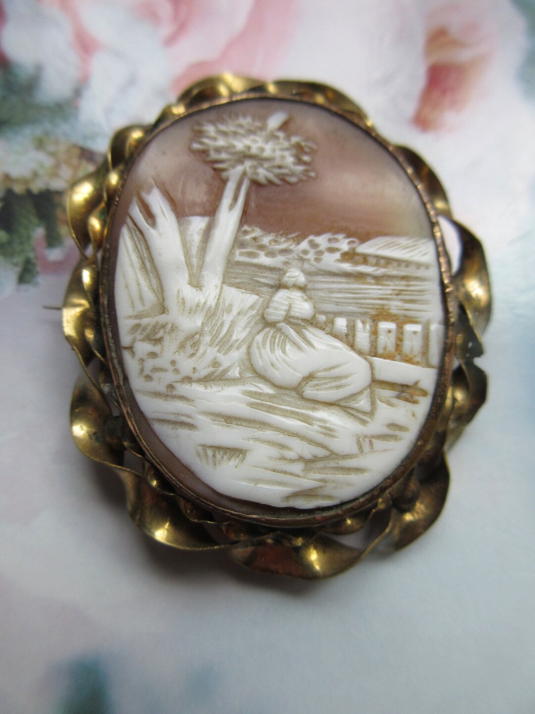 Antique Carved Shell Scenic Cameo Rebecca at the Well - Etsy