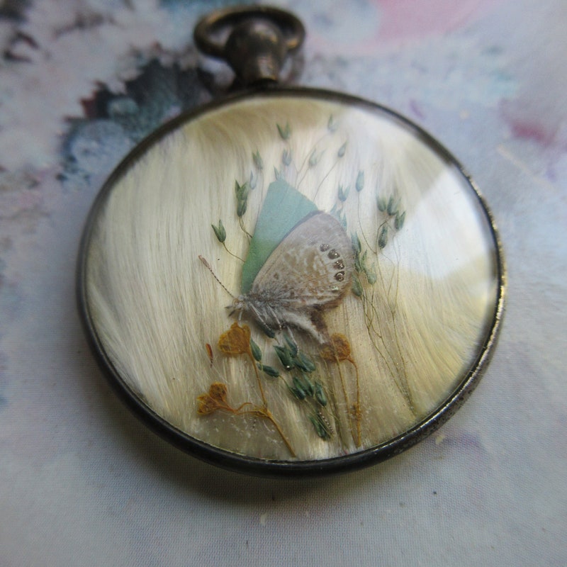 Dried Butterflies - Etsy