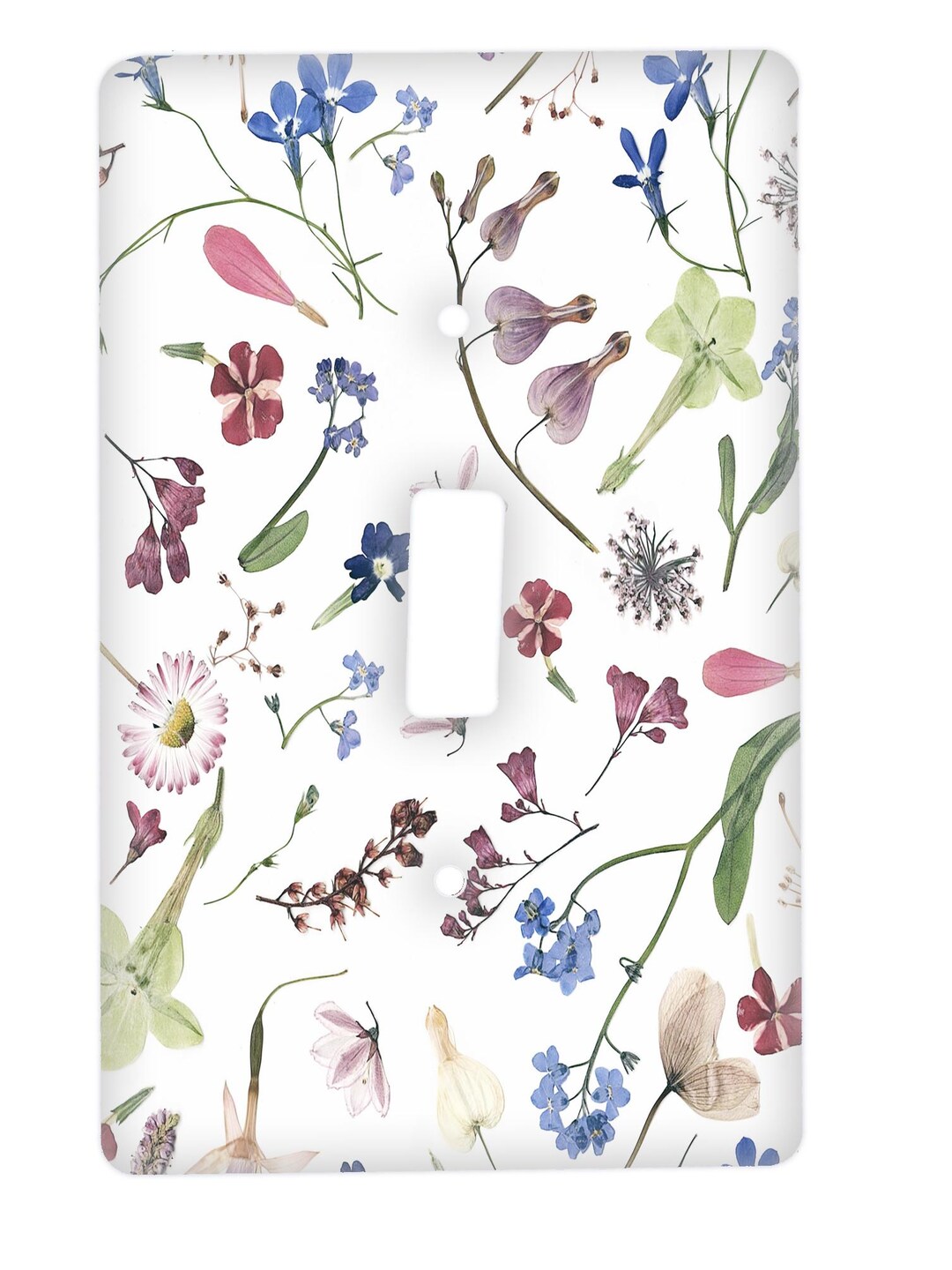 Pressed Flowers, Graphic Pressed Flowers and Beach Shells Art "art ...