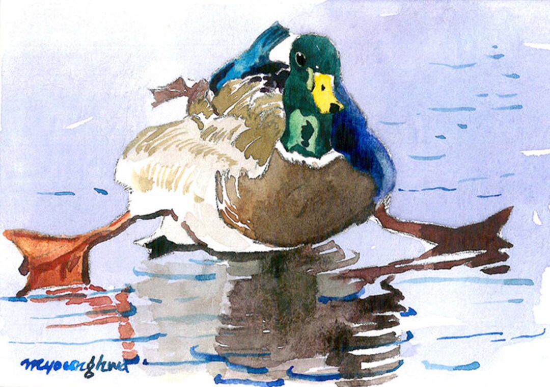 ACEO Limited Edition 2/25 - Eek, Funny Bird, Duck, Art Print of an ...