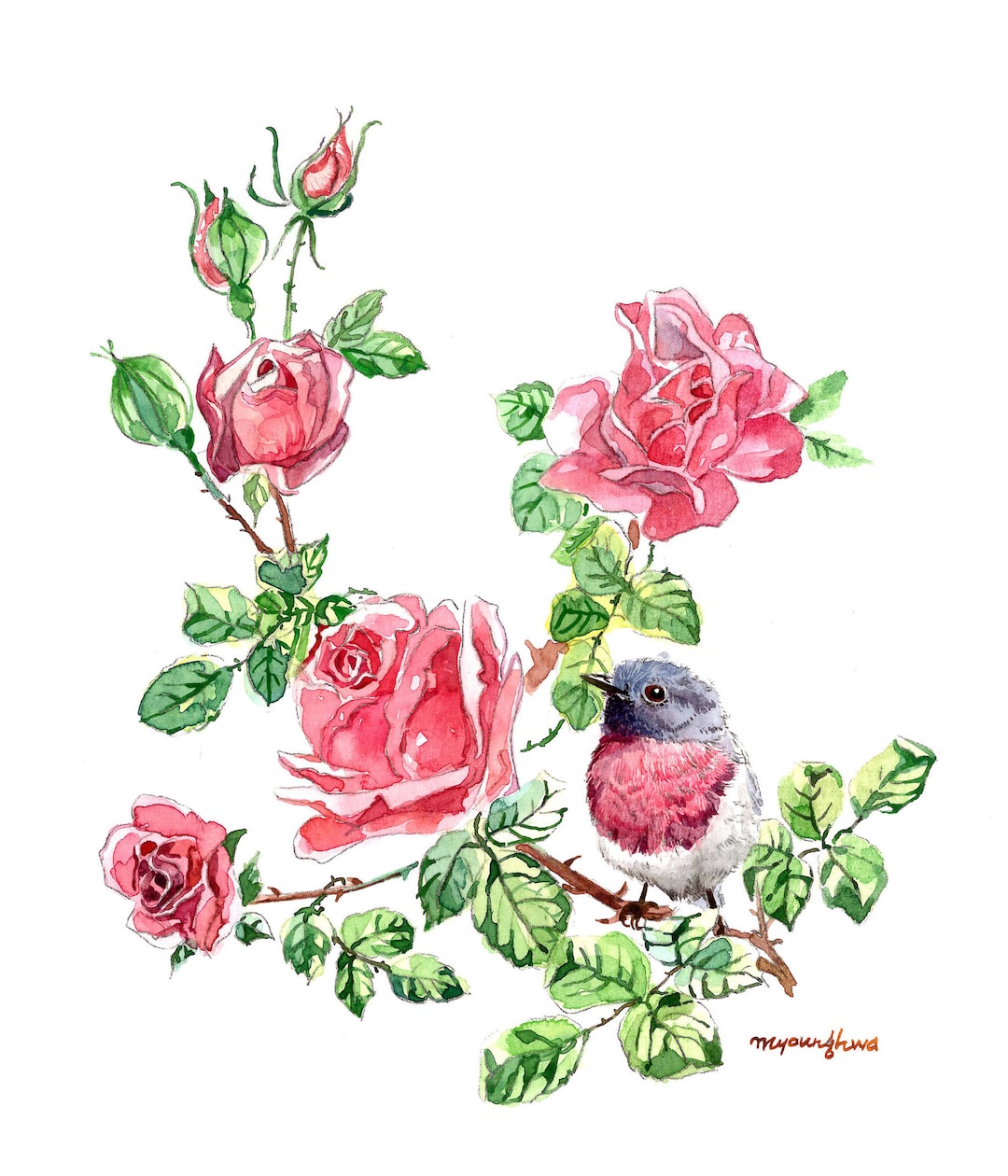Rose Robin in Roses, Art Print, Image 5 X 7 / 8 X 10 Inches, Spring ...