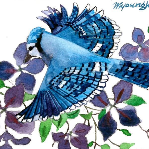 Blue Jay Wings - Etsy