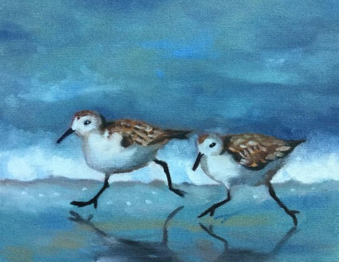 Summer Shorebirds Sandpipers Running on Sea Shore 5x7, 8x10, 9x12 Art ...