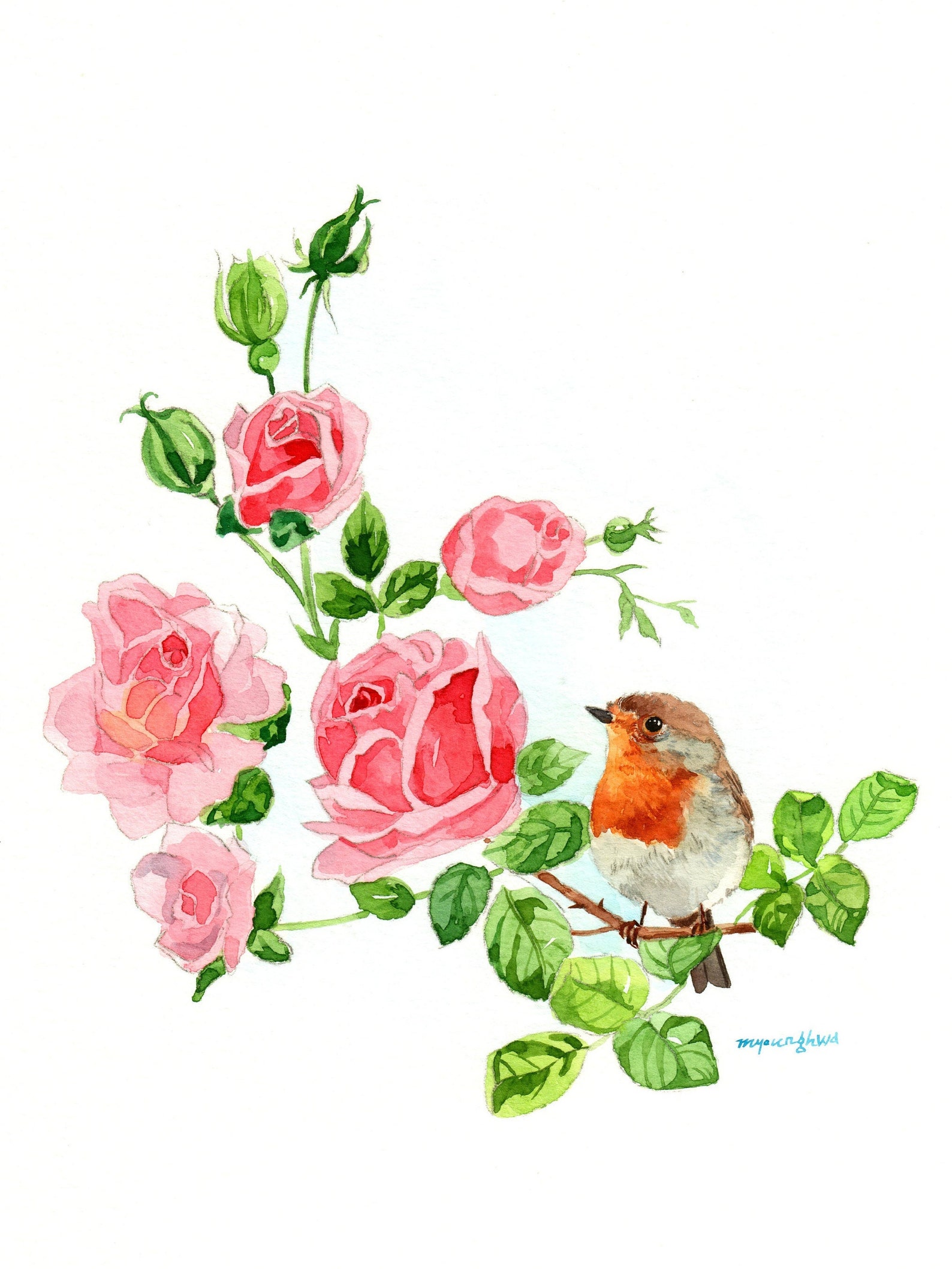 Robin in Roses 5x7 8x10 9x12 11x14 Art Print of an - Etsy