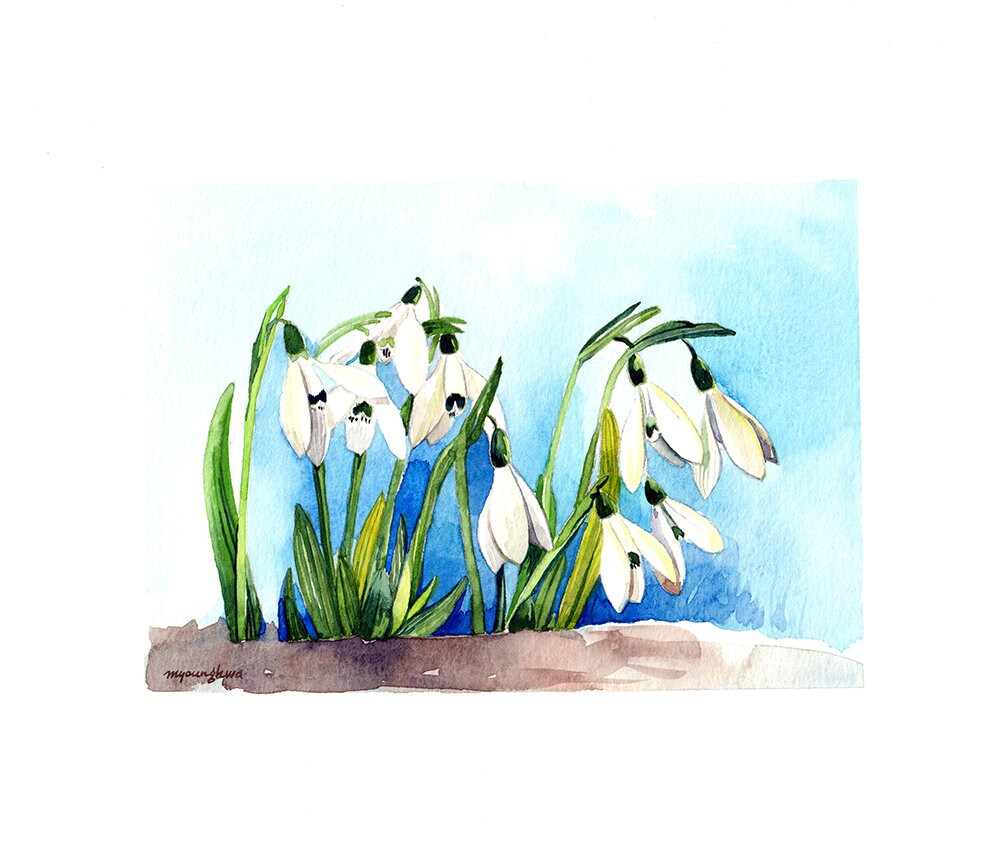 ART PRINT - "early Spring, Snowdrops", Gift for Nature Lovers, Art ...