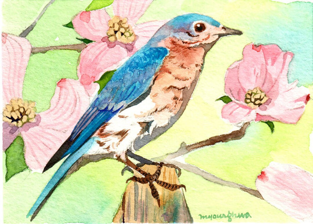 ART PRINT Limited Edition - Bluebird in Bloom, Spring Bluebird, Dogwood ...