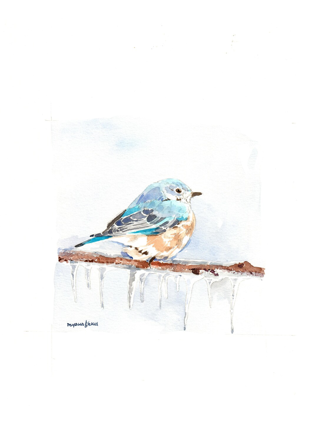 Original Watercolor Painting, Bluebird Resting on an Icy Branch, 5x7 ...