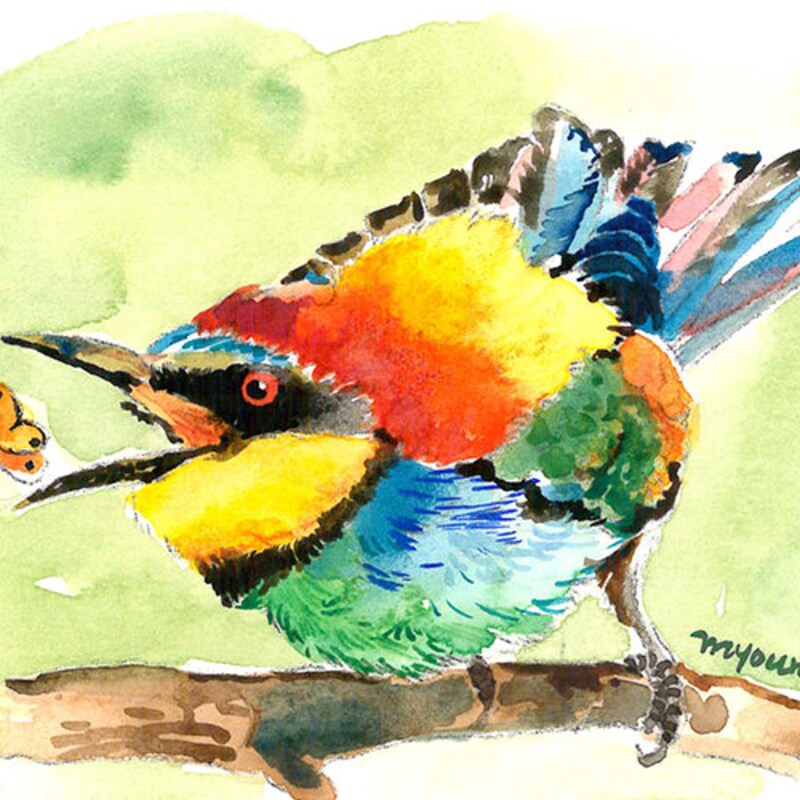 Bee Eater - Etsy