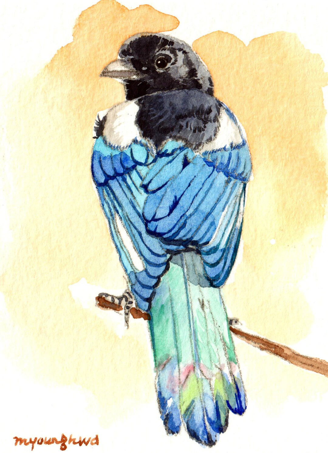 ACEO ORIGINAL in Watercolor, Magpie Perch, Bird Art by Anna Lee, Gift ...