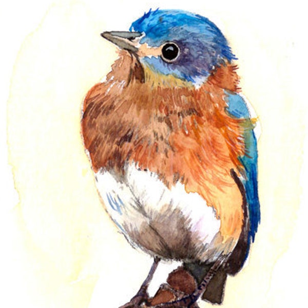 Bluebird Wall Art - Etsy