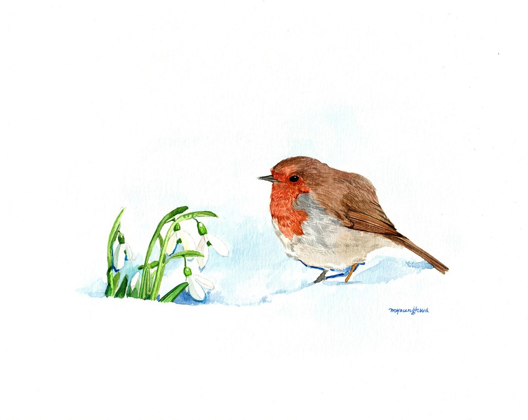 ART PRINT - the Messenger of Spring, Robin and Snowdrops, Gift for Bird ...