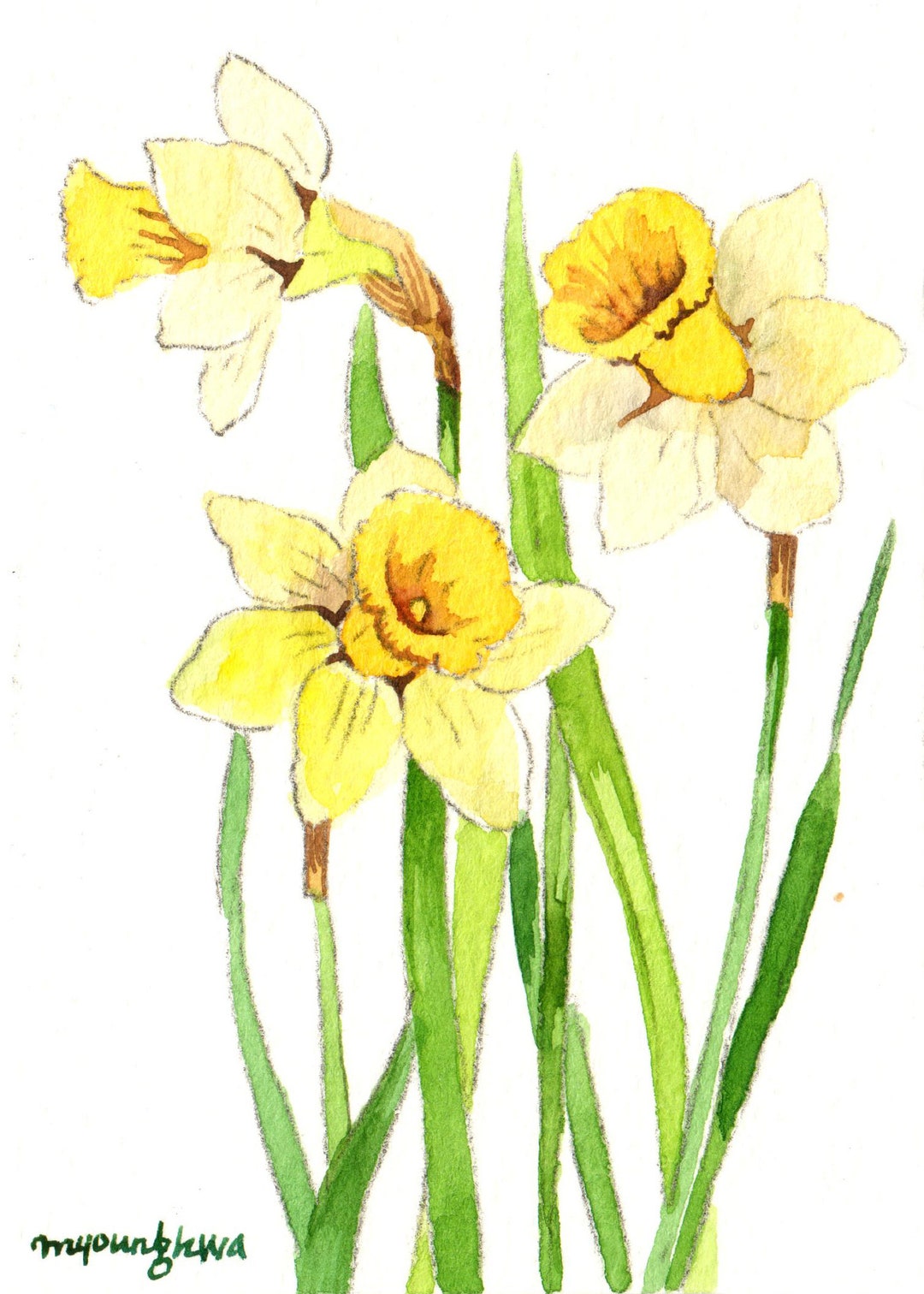 Dance Daffodil, Limited Edition Art Print Celebrating the Joy and ...