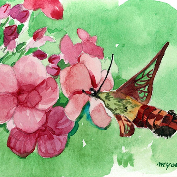 Hummingbird Moth - Etsy