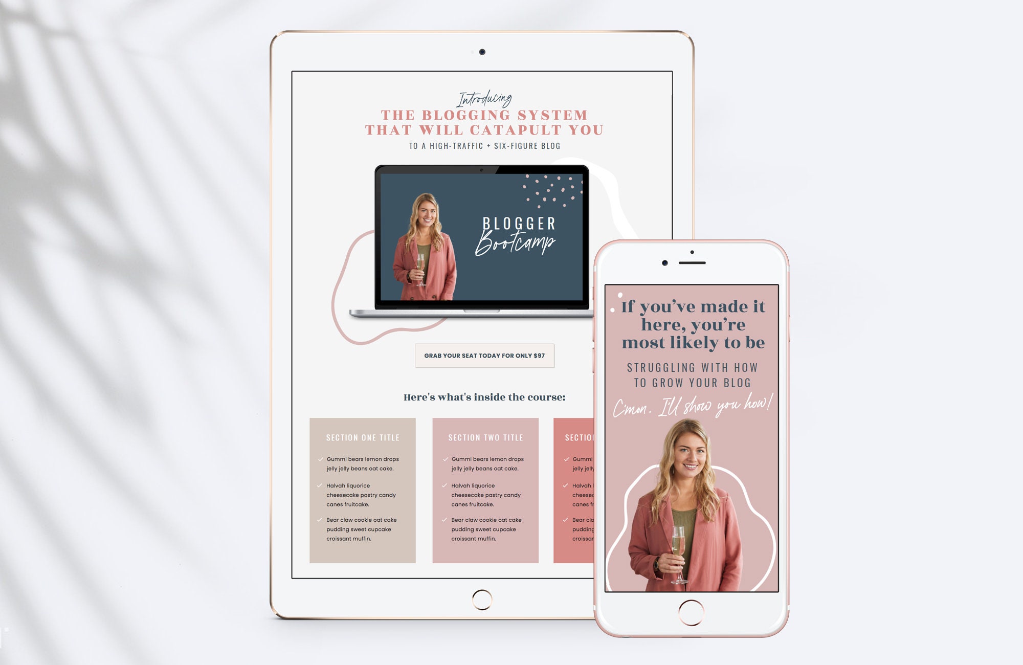 Showit Add on Sales Page Template Bundle for Entrepreneurs, Course ...