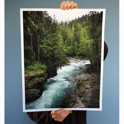 Forest Wall Art.oregonart.decor.large Photo Print.mist.pacific - Etsy