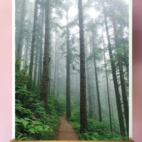 Forest Art. Oregon.wall Decor. Trees. - Etsy