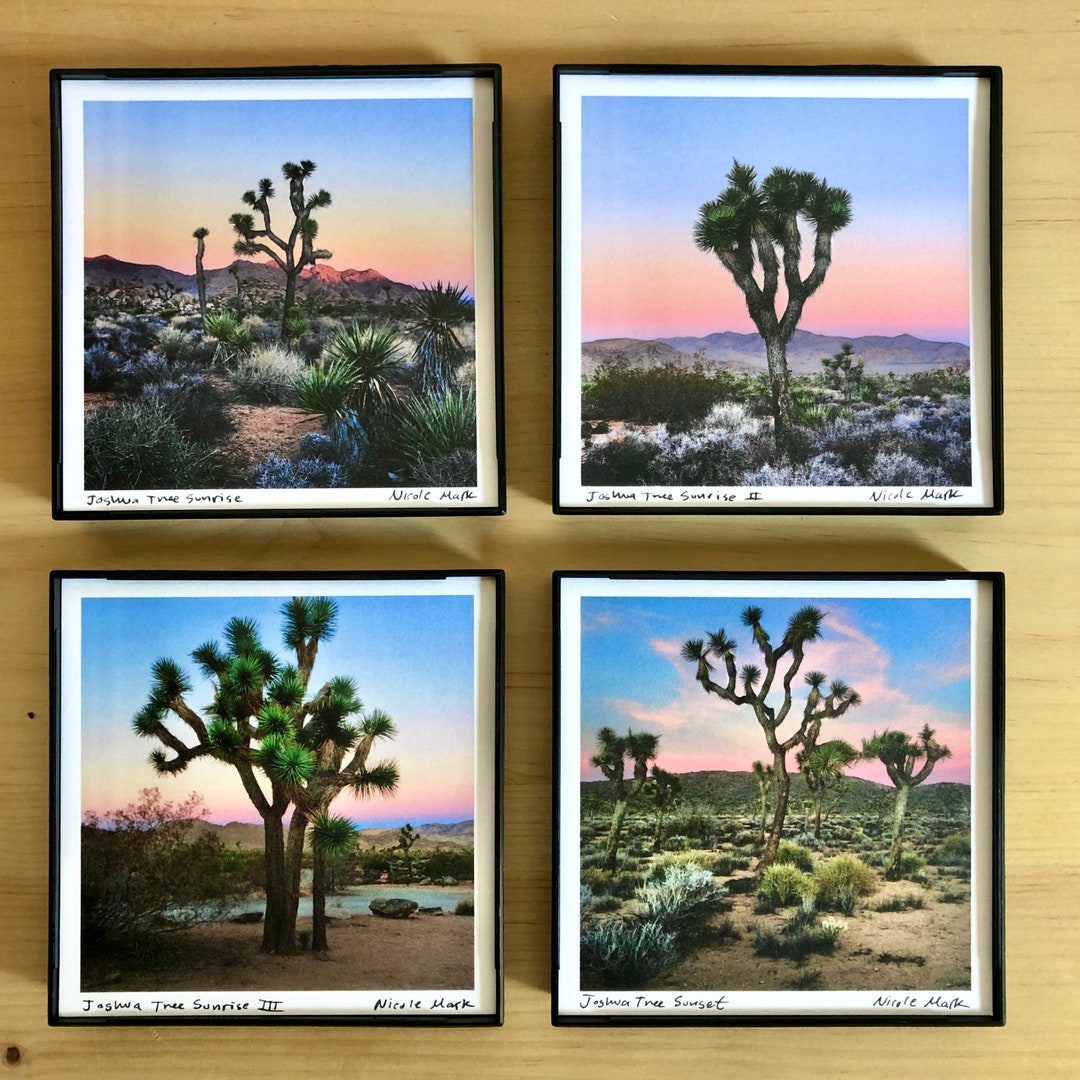 Joshua Tree Art.5 STYLES. 4x4 Framed - Etsy