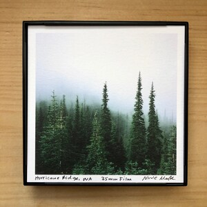 Oregon Forest Art Print.9 Styles.4x4" Framed Print.wall Decor.mist ...