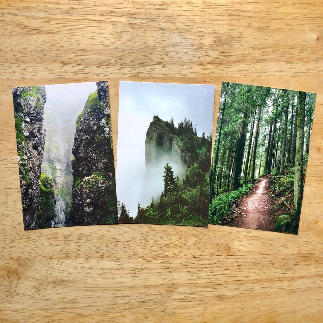 Postcards.4x6".forest 3 Set.pacific Northwest.art Postcard.postcard ...