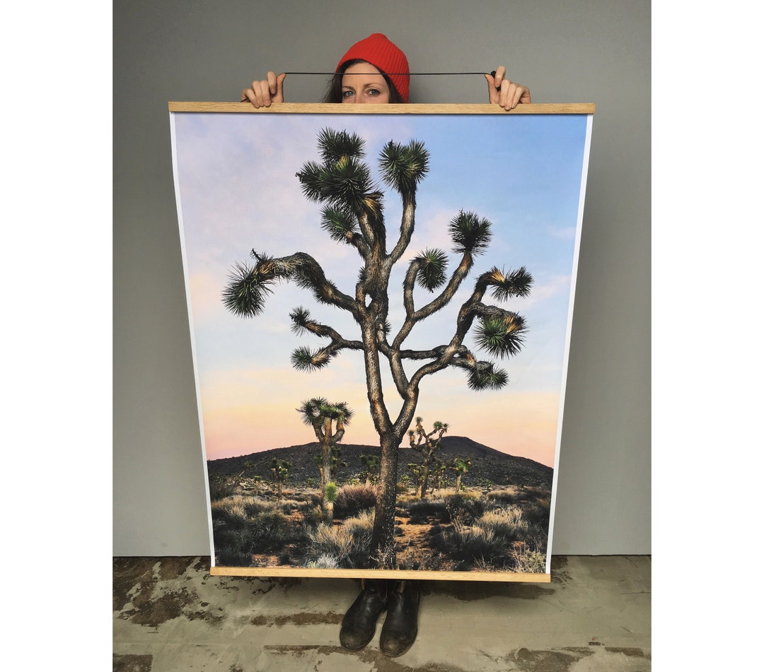 Joshua Tree Art.wall Decor.several Sizes.photoprint.desert.sunset.pink ...