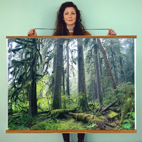 Forest Art.oregon.wall Decor.trees.pacific - Etsy