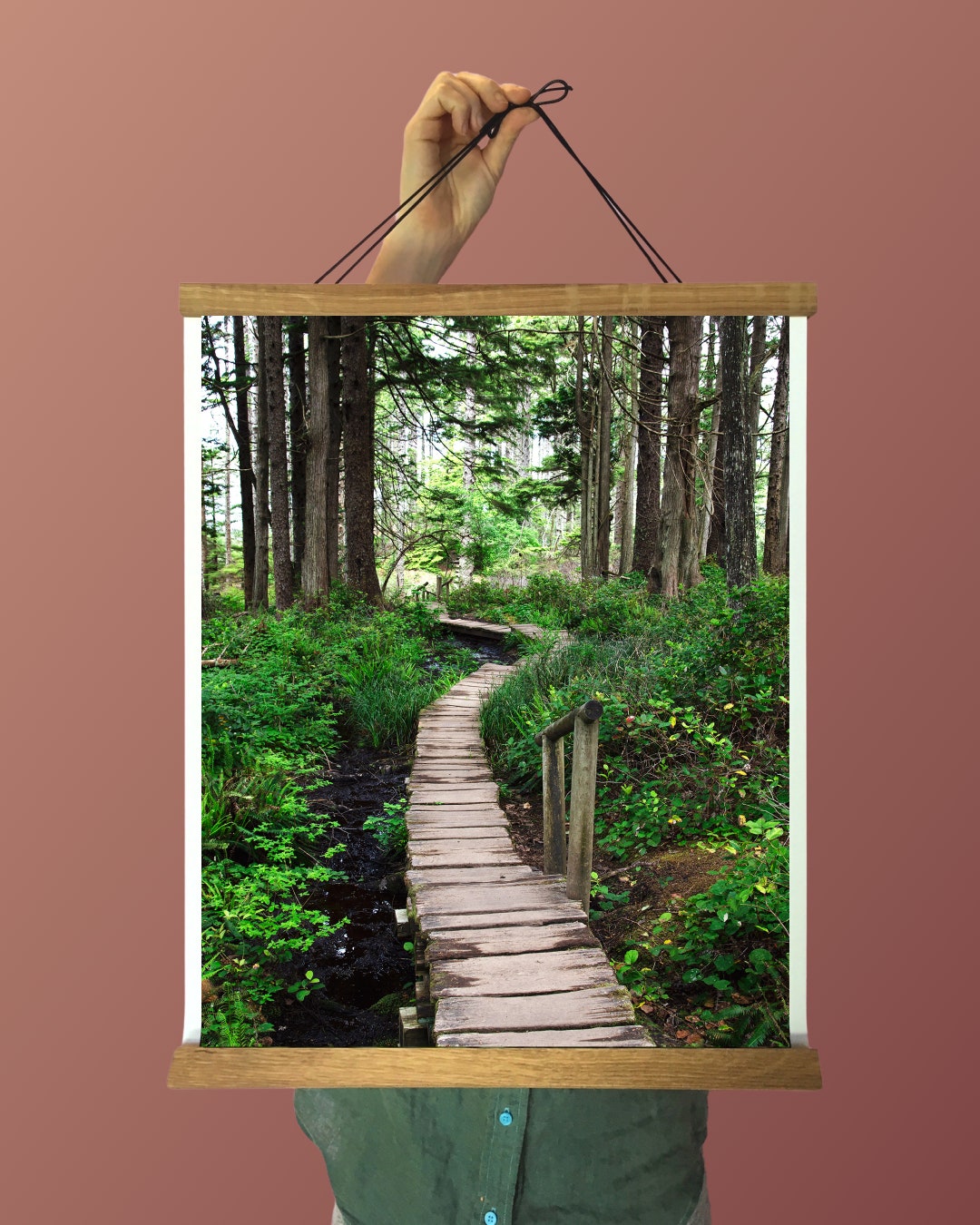 Olympic Peninsula Art.cape Flattery Trail.washington.forest.decor ...