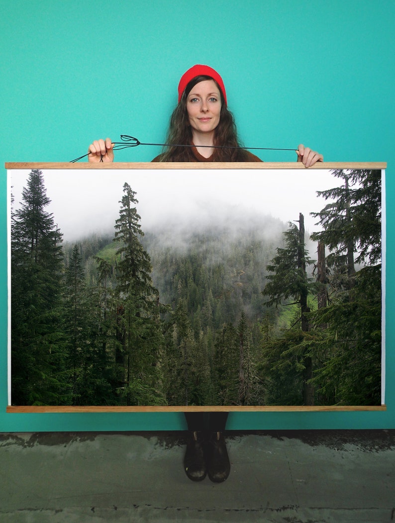 Forest Art.mist.trees.wall Decor.rain Firest.fine Art Photography ...