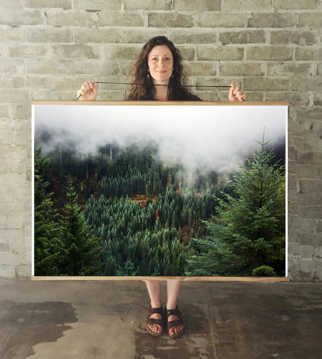 Forest Art.oregon.trees.mist.willamette National Forest.photo Print ...