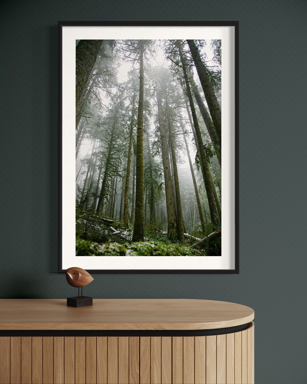 Larch Mountain Forest Print | PNW Old Growth Trees Oregon Art - Etsy