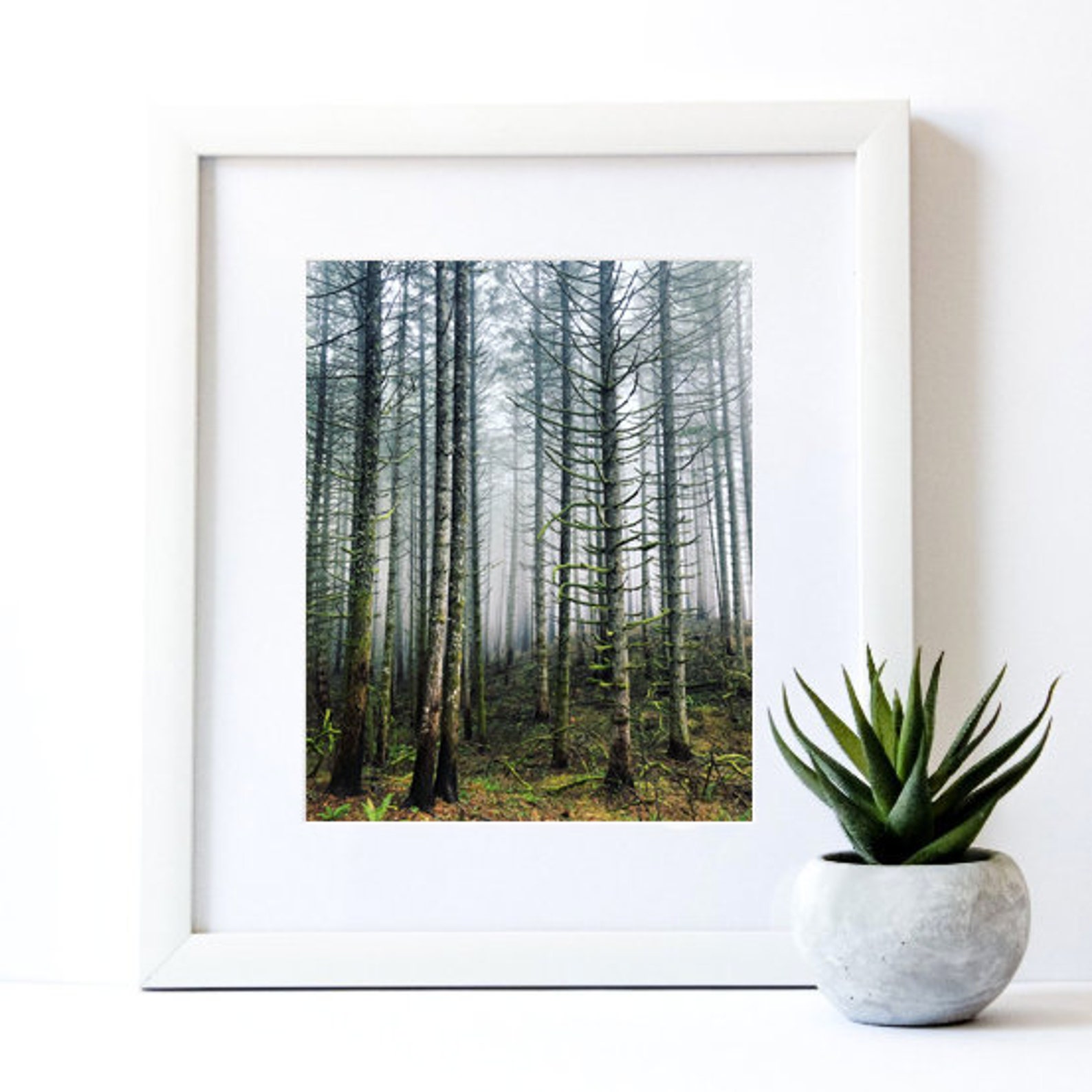 Forest Wall Art.oregonart.decor.large Photo Print.mist.pacific ...