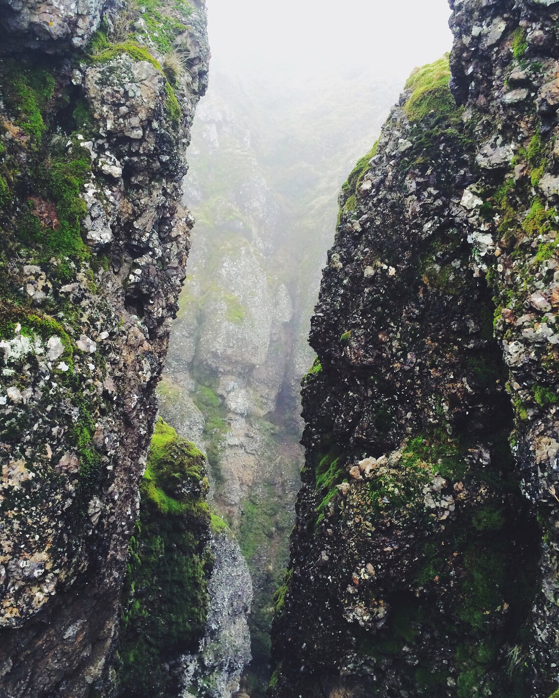 Forest Wall Art.decor.moss.rock.mist.photo Print.fine Art - Etsy