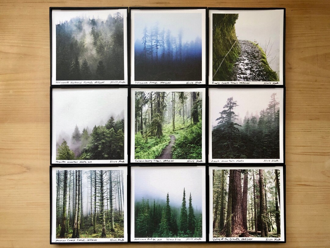 Oregon Forest Art Print.9 Styles.4x4" Framed Print.wall Decor.mist ...