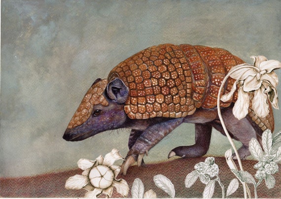 Purple Armadillo ART Print | Etsy UK
