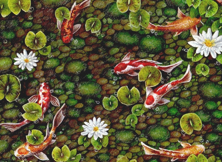 Koi Fish Koi Pond Art Print Nature Prints Koi Home Decor - Etsy