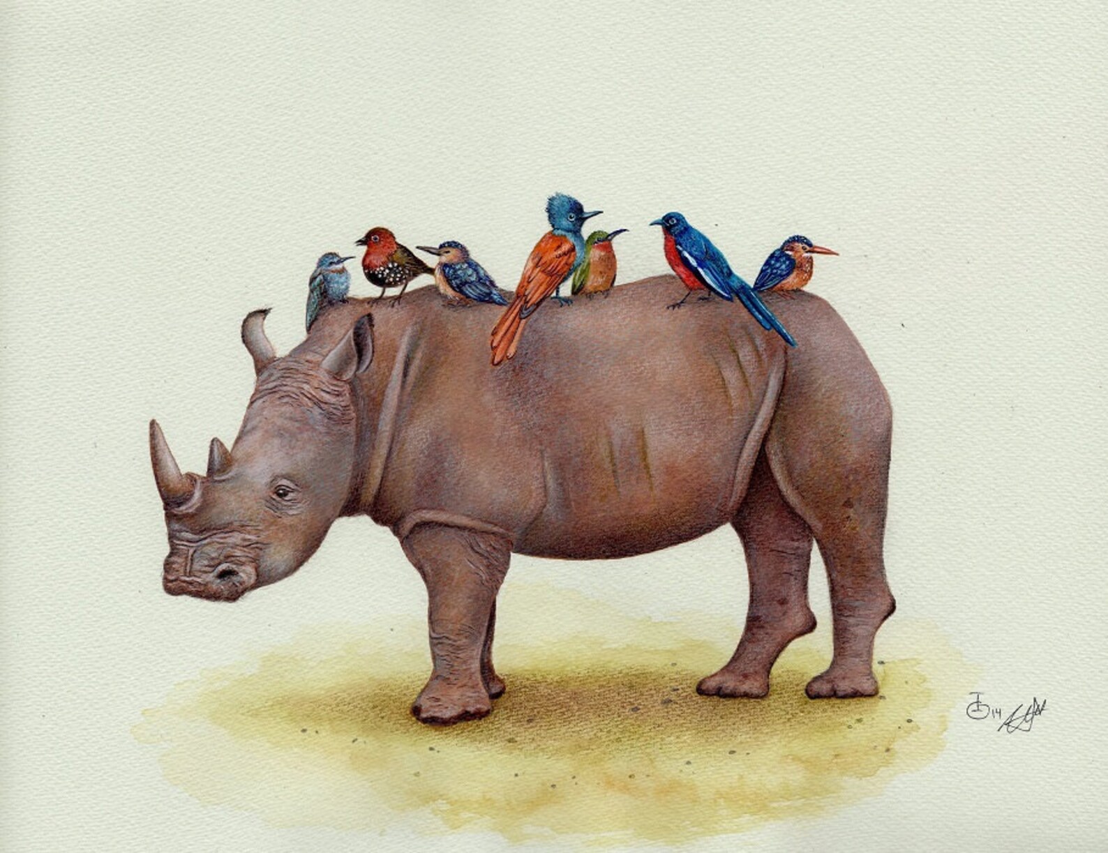 Rhino and His Pretty Birds Art Print Animal Art, Bird Art, Watercolour ...