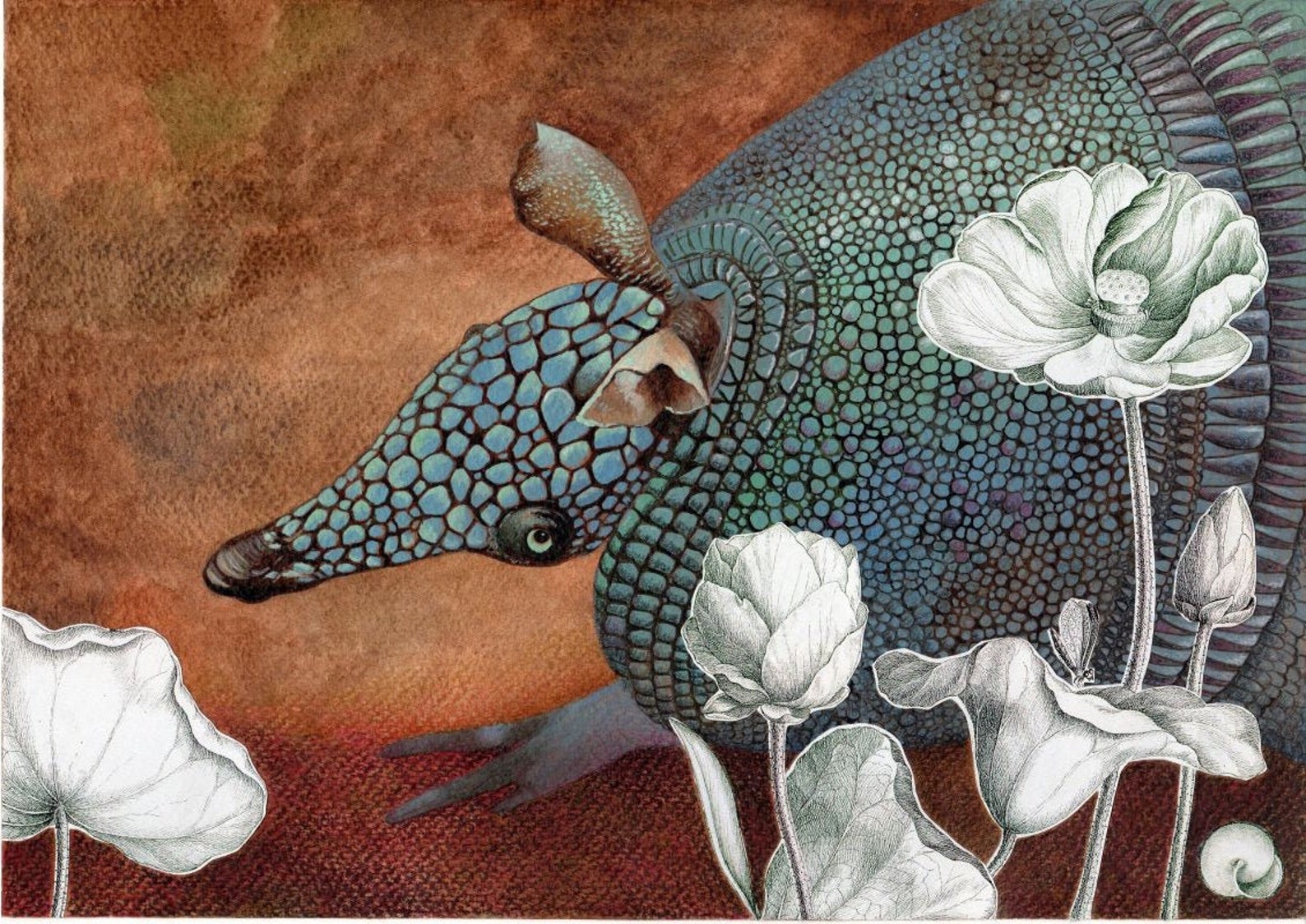 Blue Armadillo ART Print - Etsy