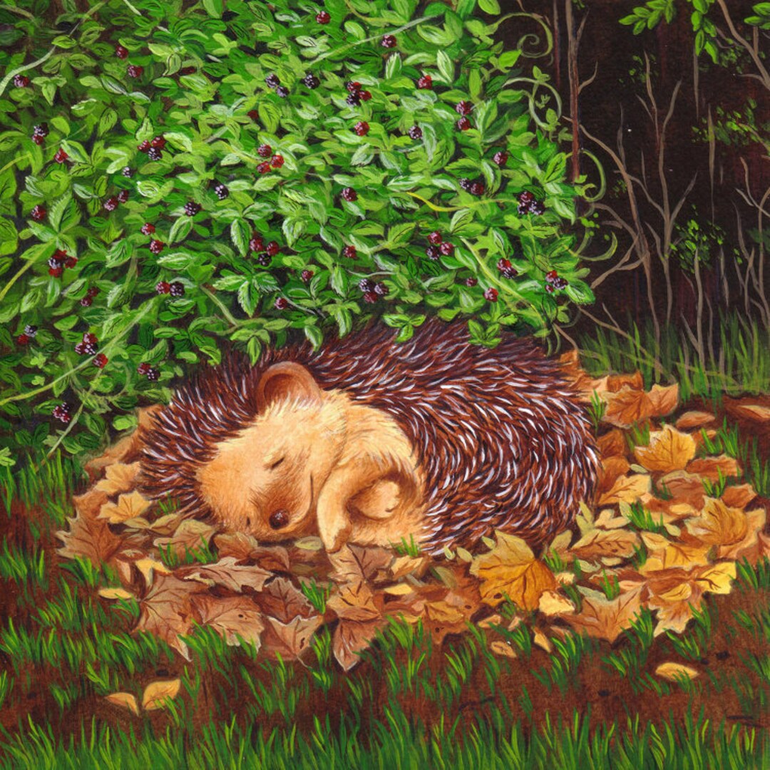 Art for Nursery Sleeping Hedgehog Print From an Original Acrylic ...
