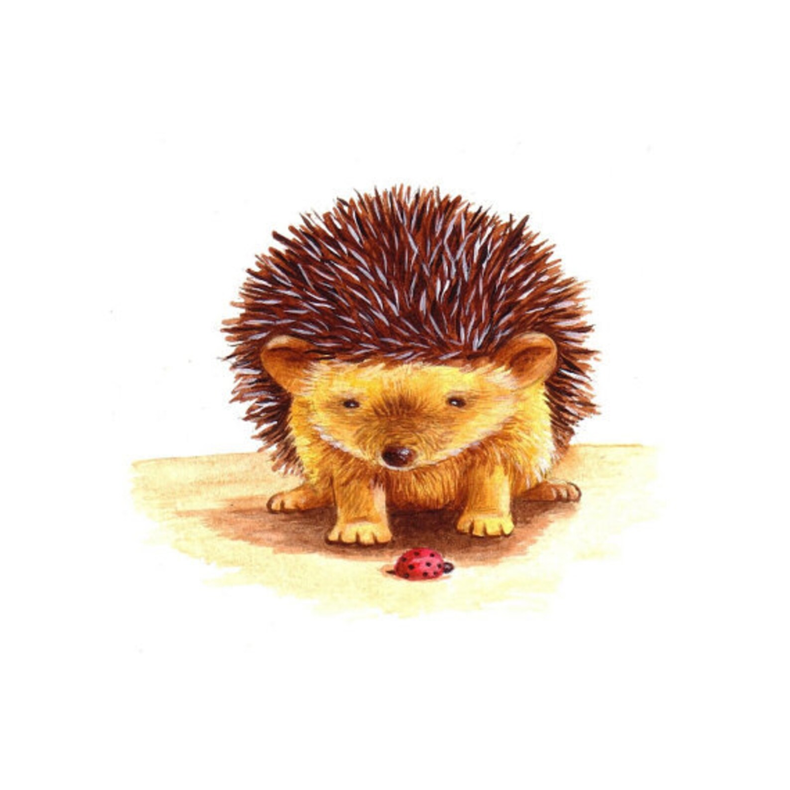 Hedgehog Art Little Hedgehog and Ladybird Art for Nursery - Etsy