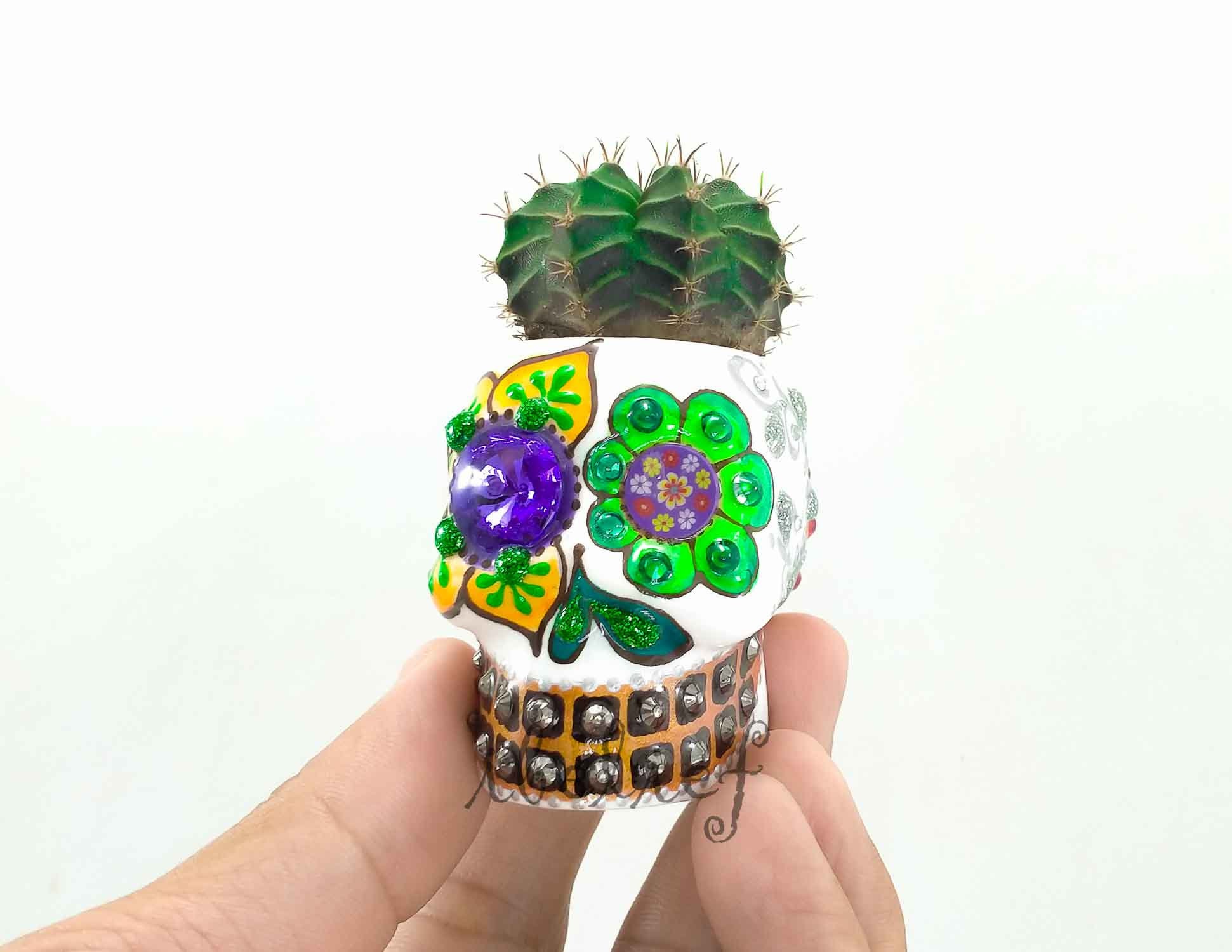 Skull Cactus pot day of dead indoor plant home decor | Etsy