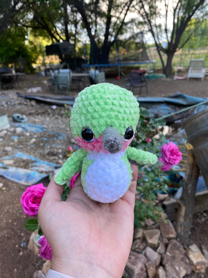 Crochet Hummingbird Plushie - Etsy