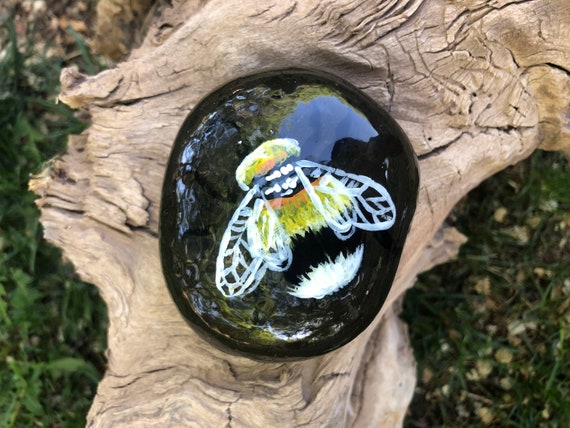 Painted River Rock Resin Finish - Etsy