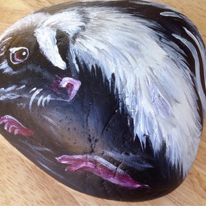Painted Skunk Rock - Etsy