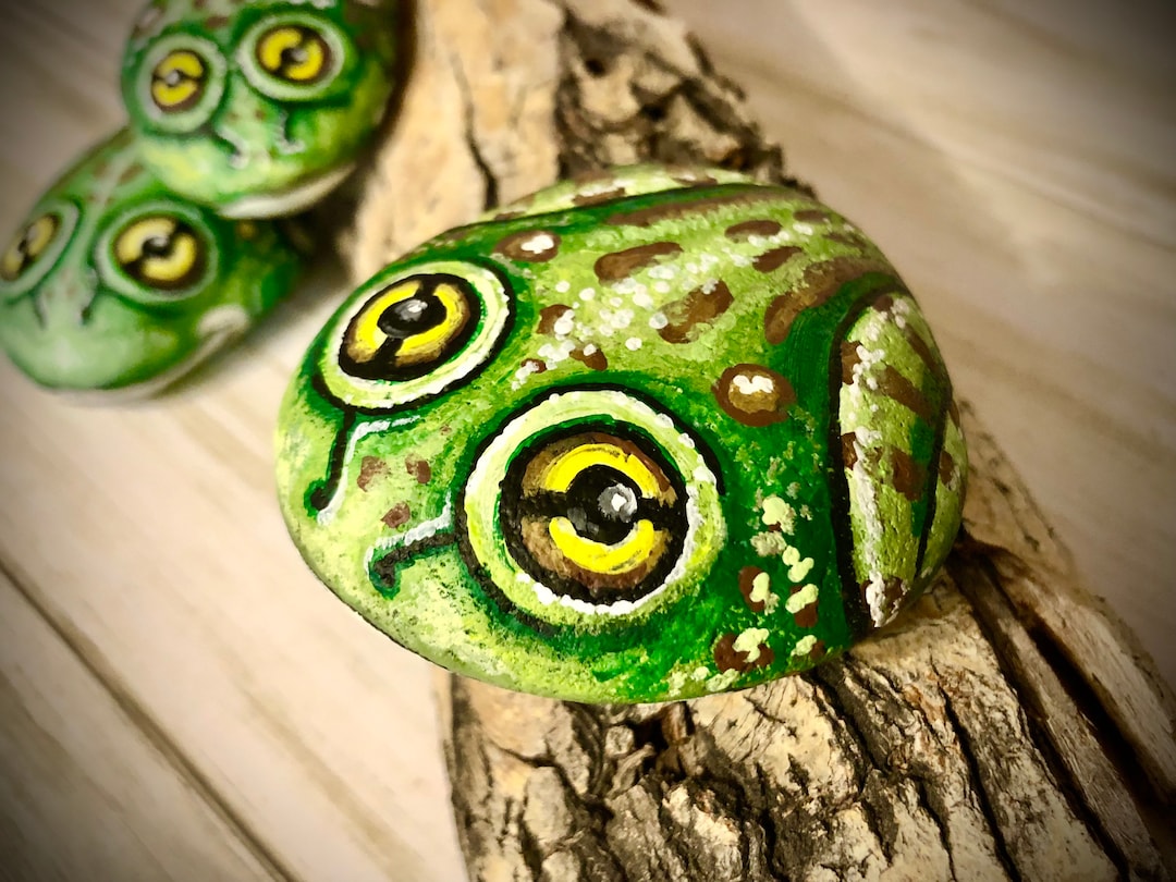Painted Frog Rock Garden Decoration - Etsy