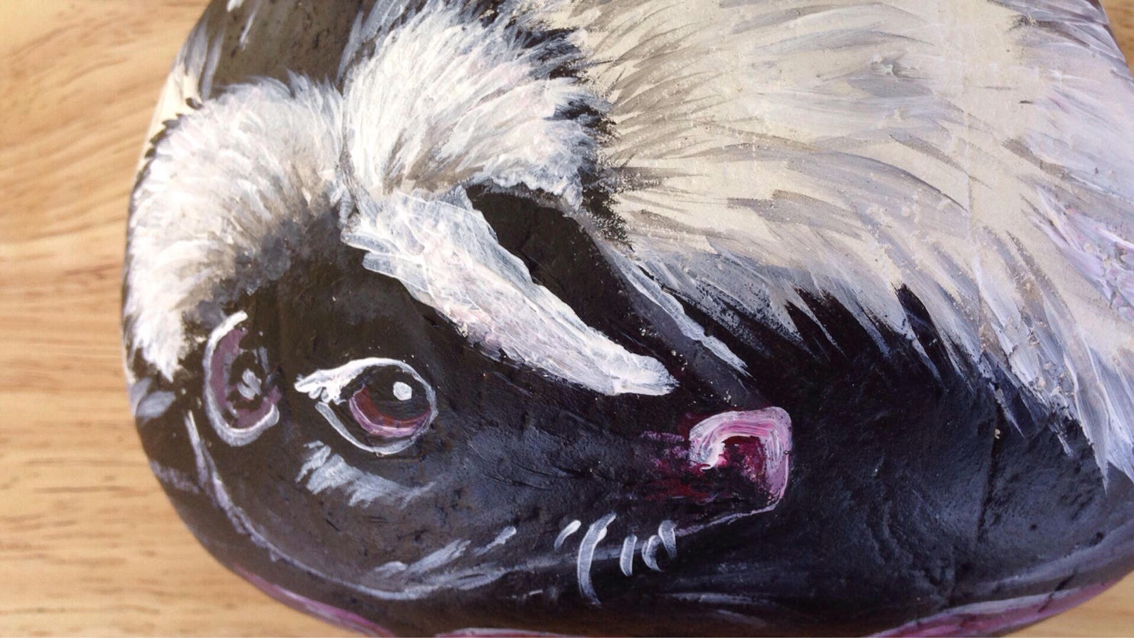 Painted Skunk Rock - Etsy
