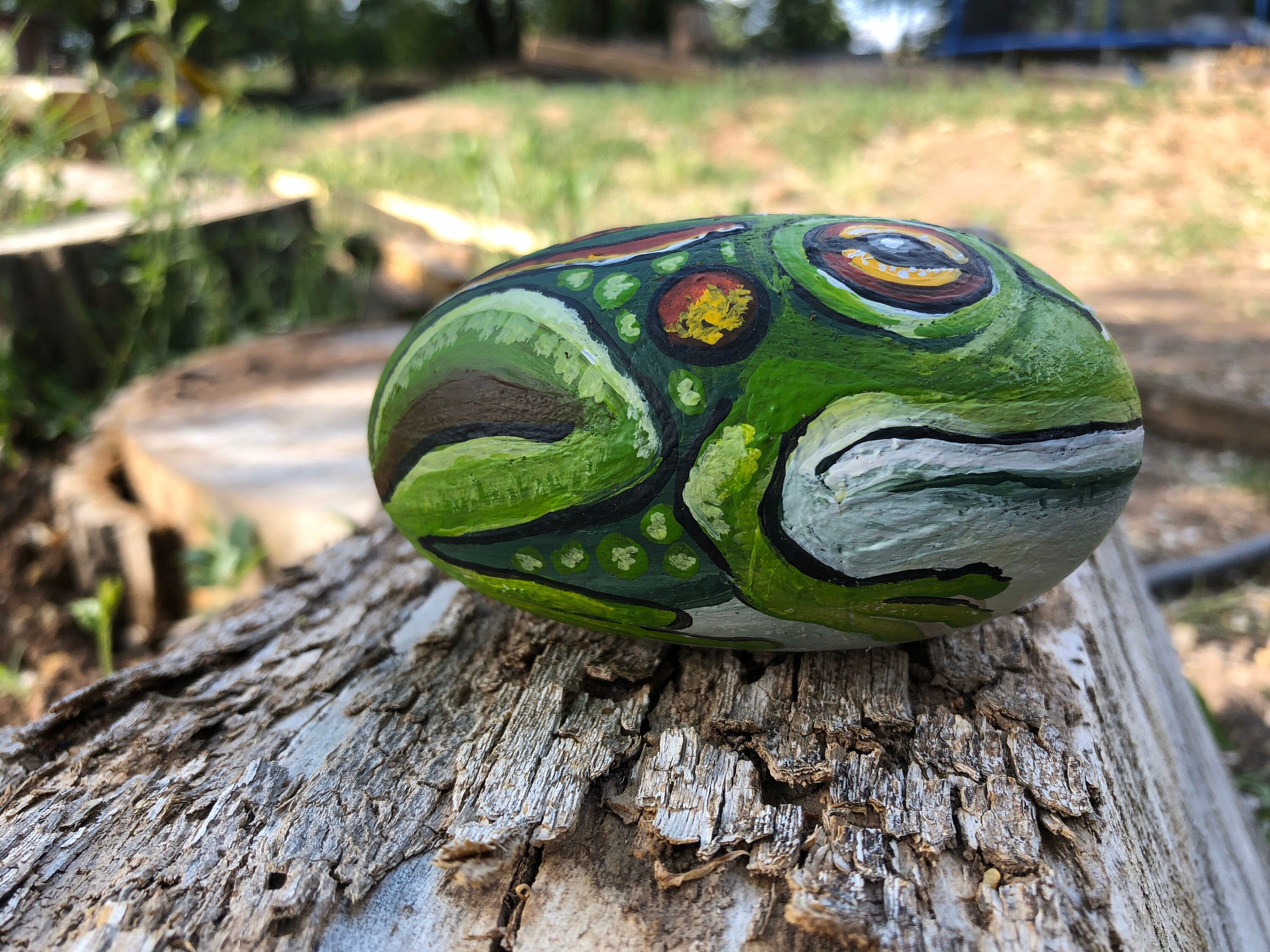 Painted Frog Rock - Etsy