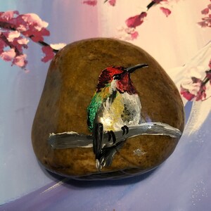 Hummingbird Painted Rock - Etsy