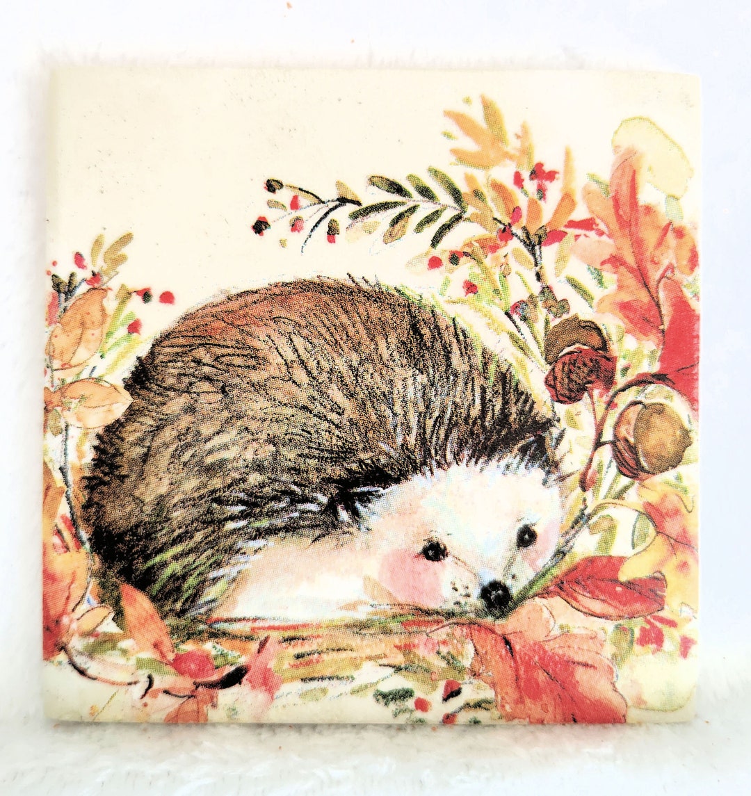 Four Adorable Handmade Hedgehog Coasters With Cork Backing - 4 Inch ...