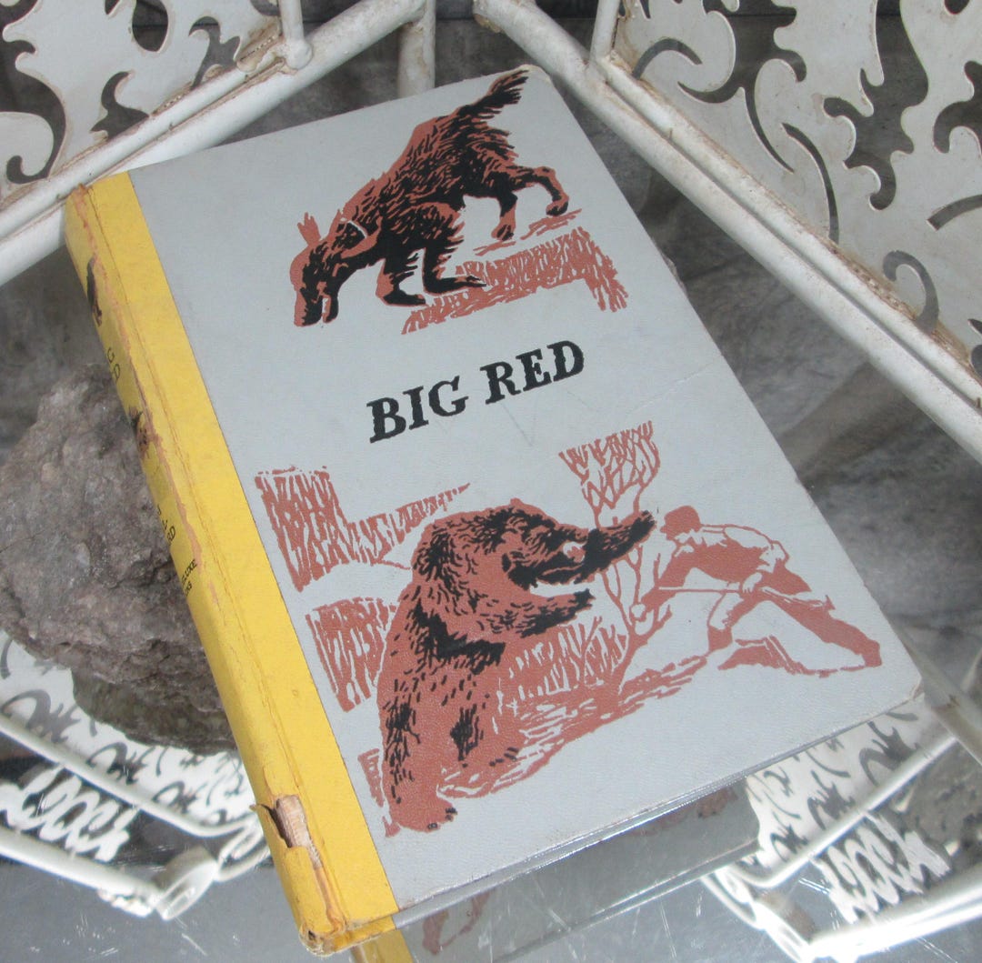 Big Red by Jim Kjelgaard, Illustrated by Shannon Stirnweis, 1945 - Etsy