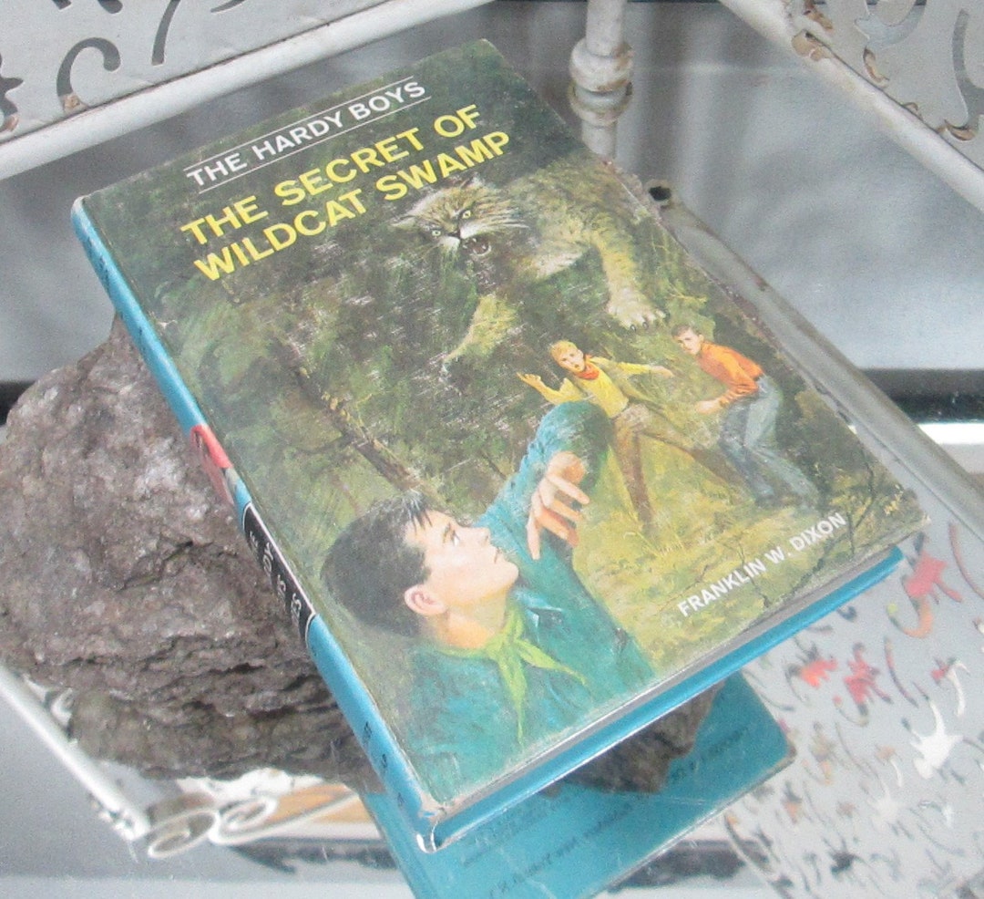 Hardy Boys the Secret of Wildcat Swamp #31 Vintage Book - Etsy