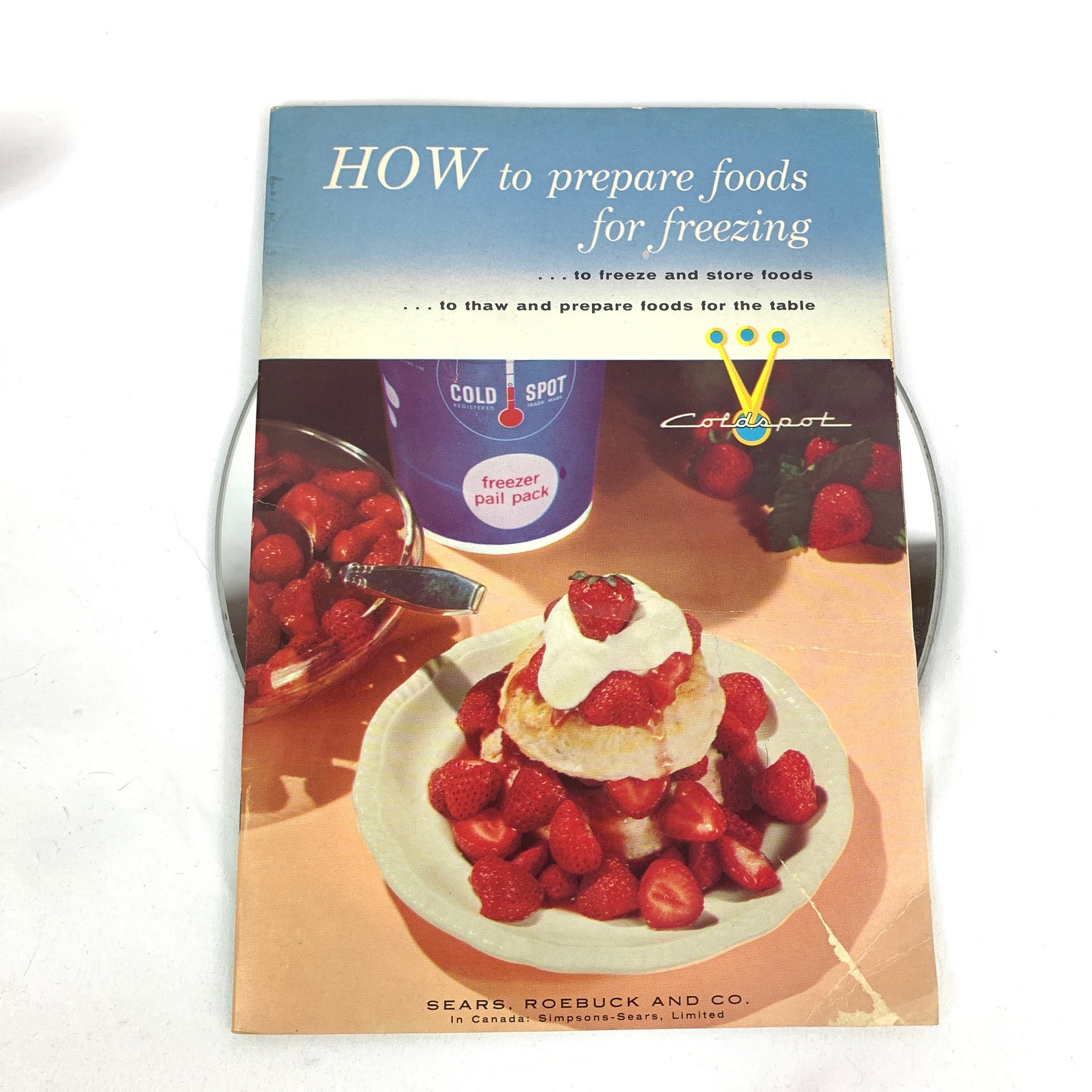 How to Prepare Foods for Freezing Vintage Recipe Book - Etsy